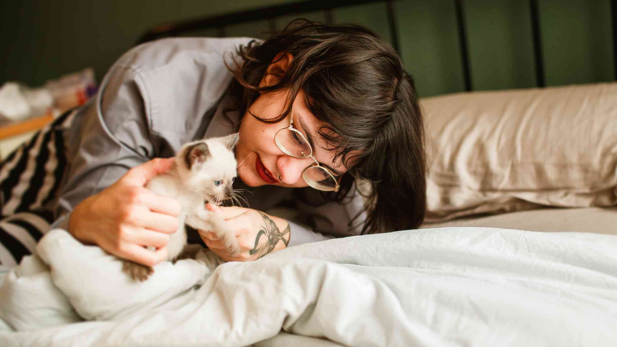 Must-Haves For First-Time Cat Parents – SoyKitty