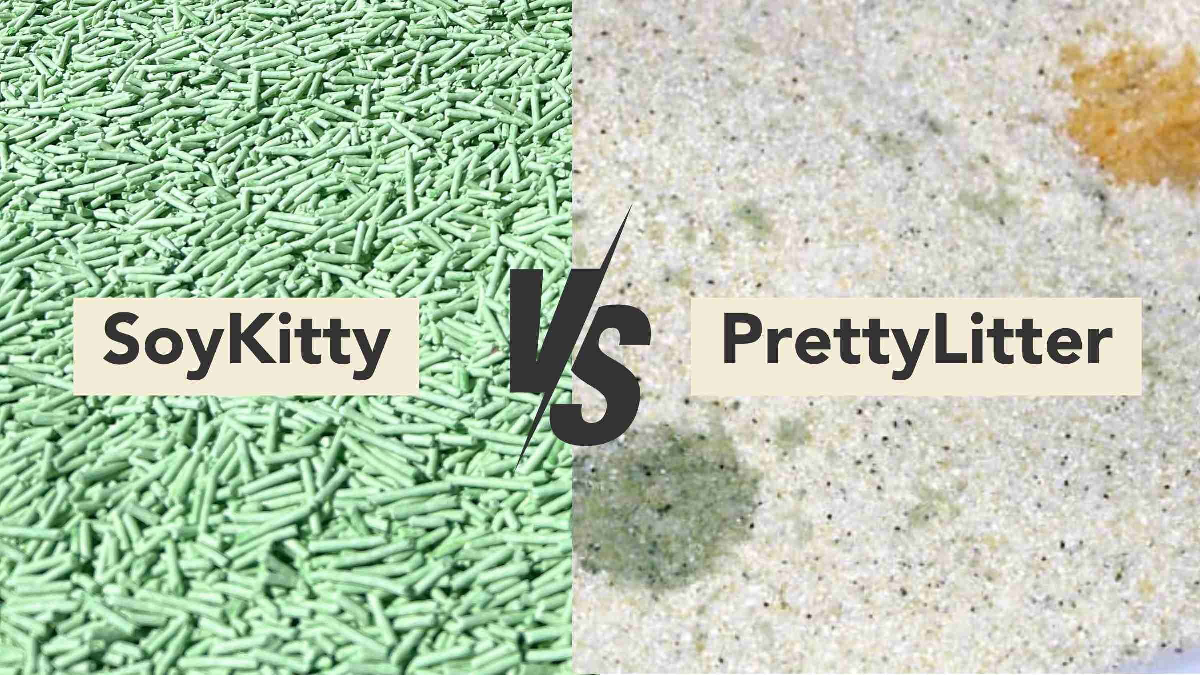 Safest Litter for Cats: SoyKitty vs PrettyLitter