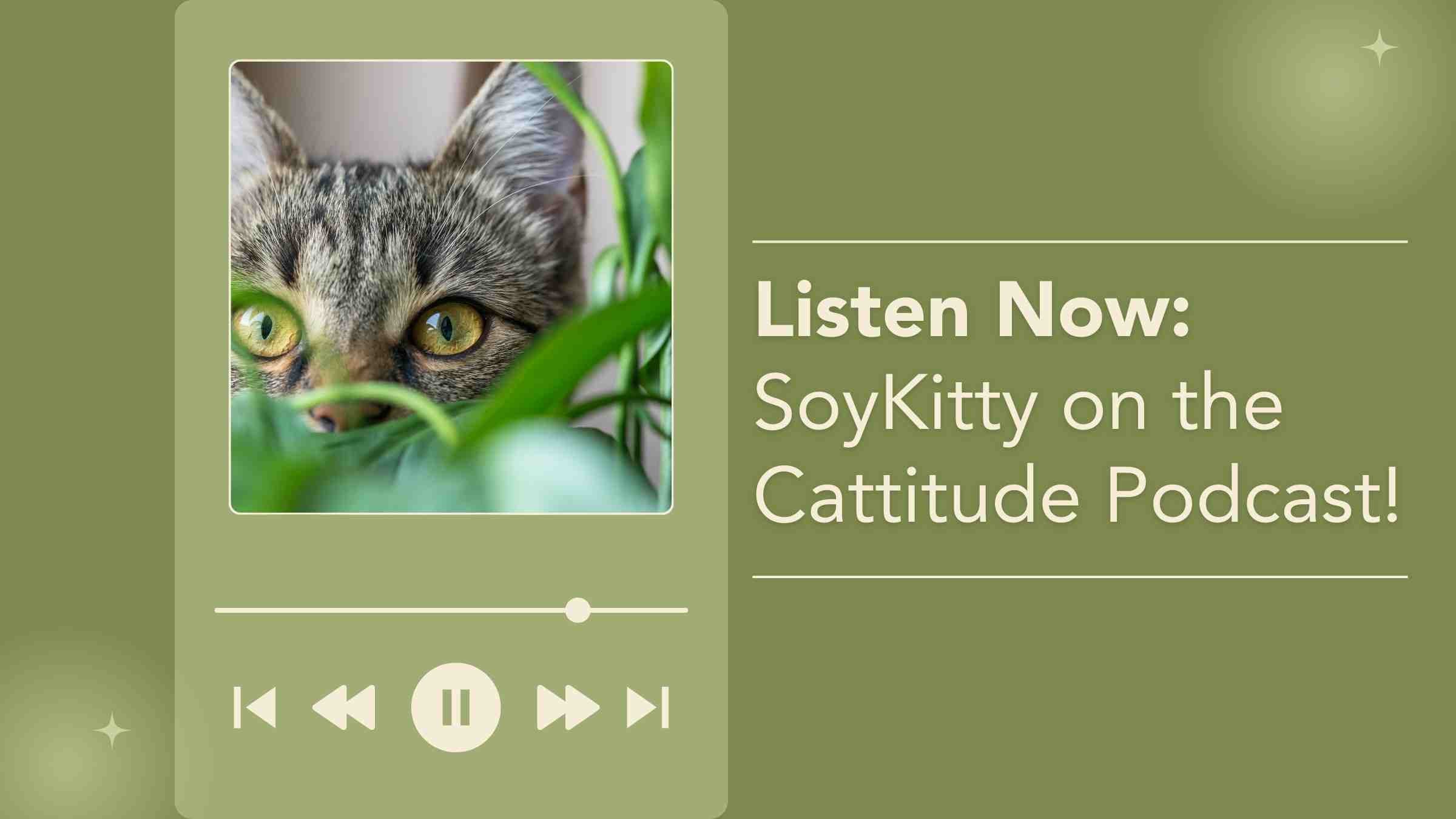 SoyKitty on the Cattitude Podcast: Exploring Holistic Lifestyles for C